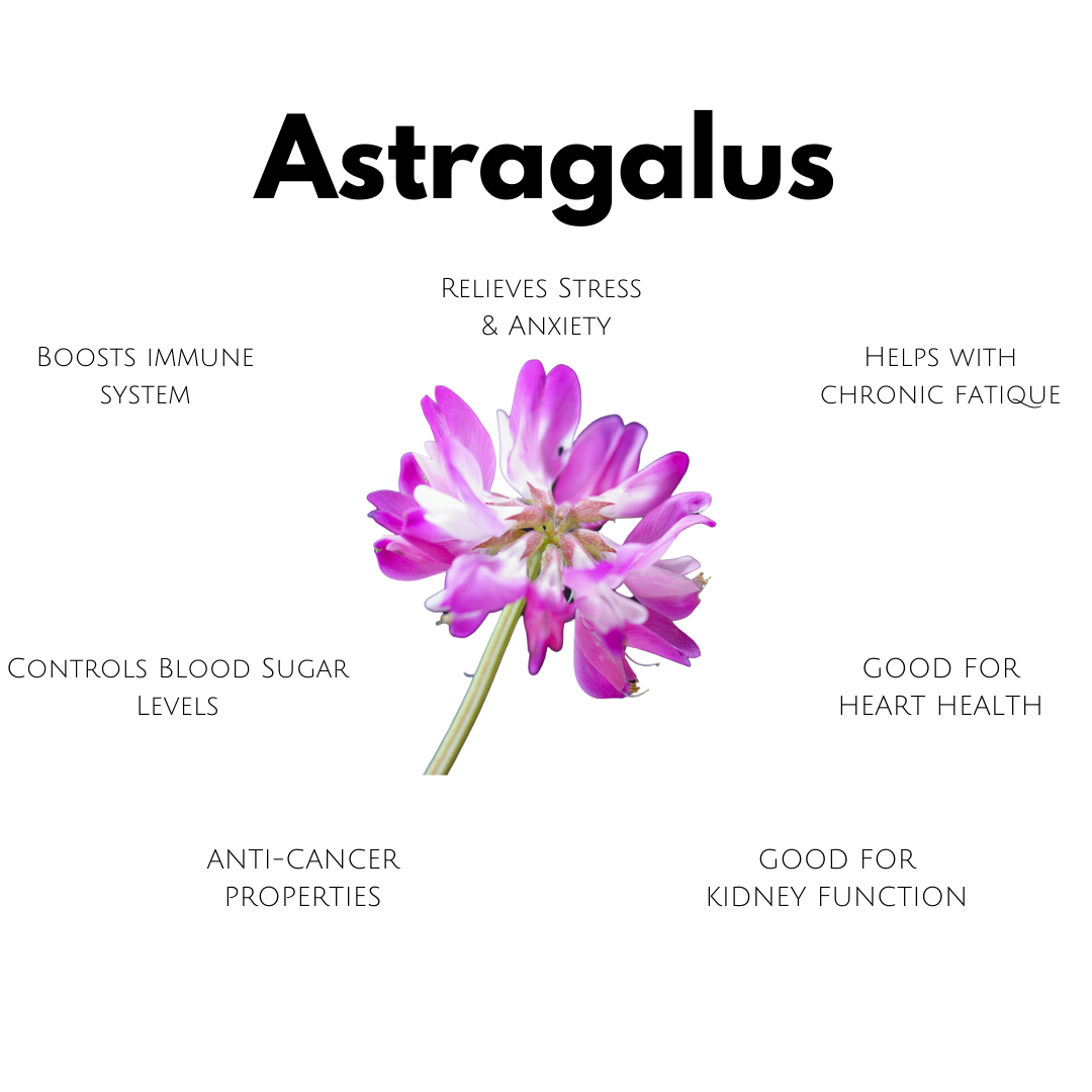 The Benefits of Adaptogens: What They Do and How to Use Them